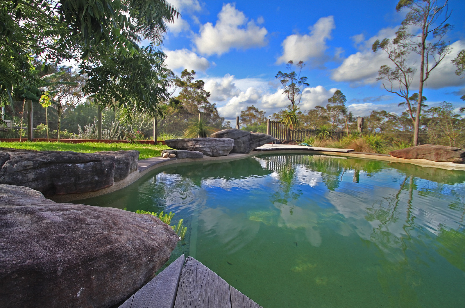 NATURAL OASIS - Landforms Landscaping and Natural Pools Sydney